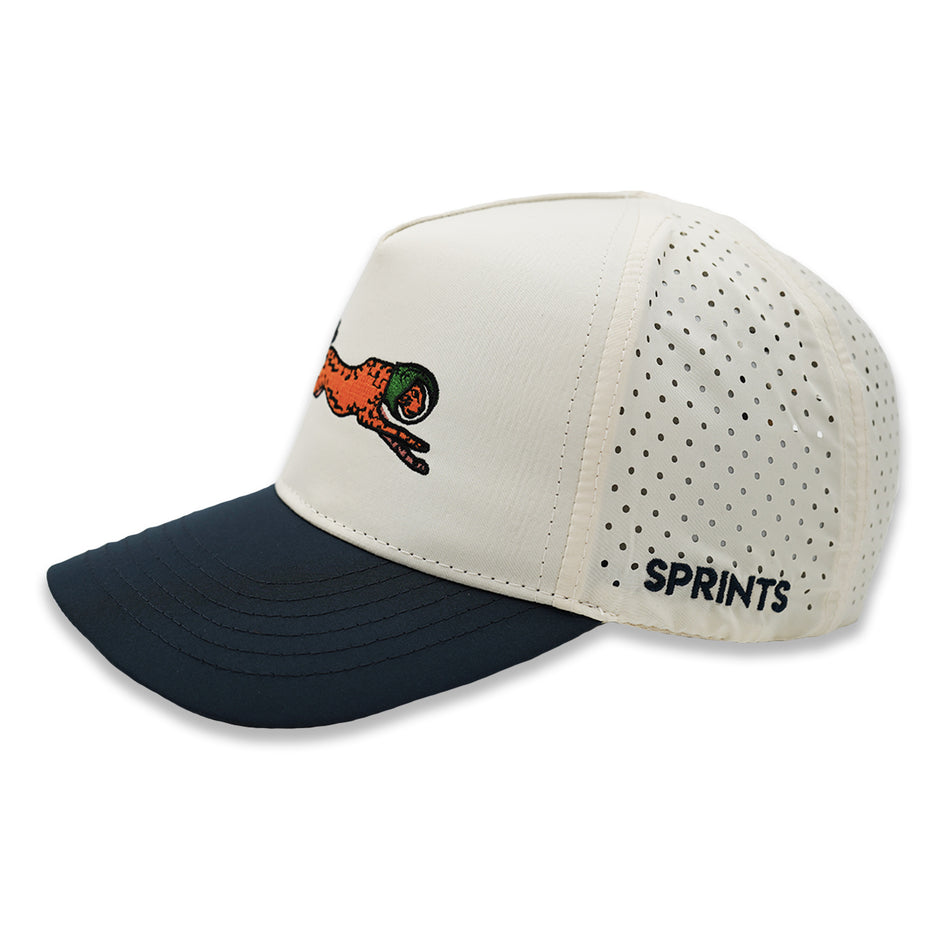 Structured VP Hats – SprintsB2B